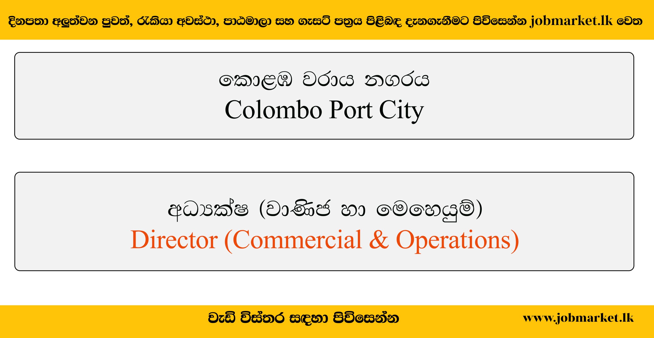 Director (Commercial & Operations) – Colombo Port City Vacancies 2025 ...